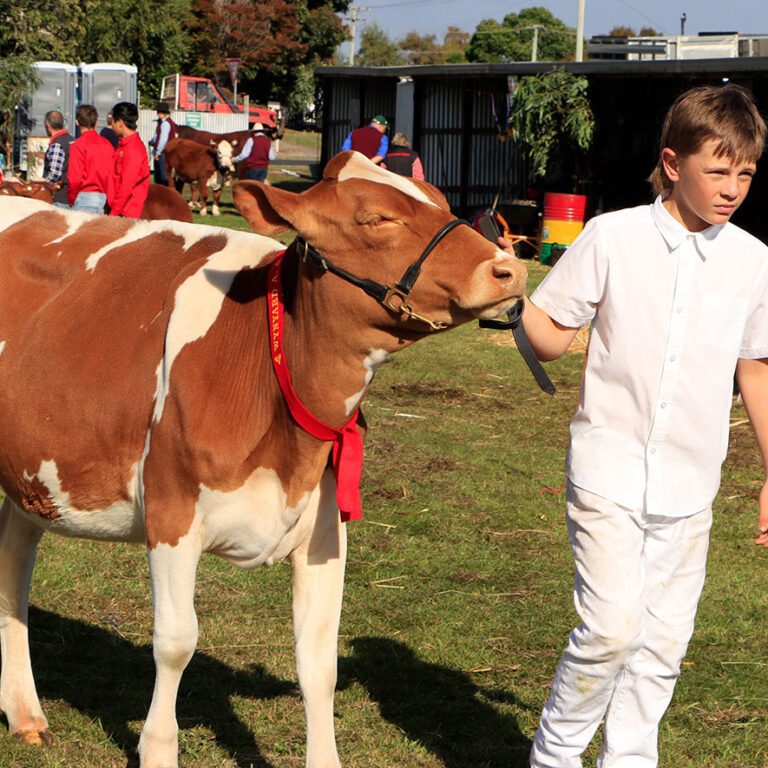 RV Bookings – Wynyard Show